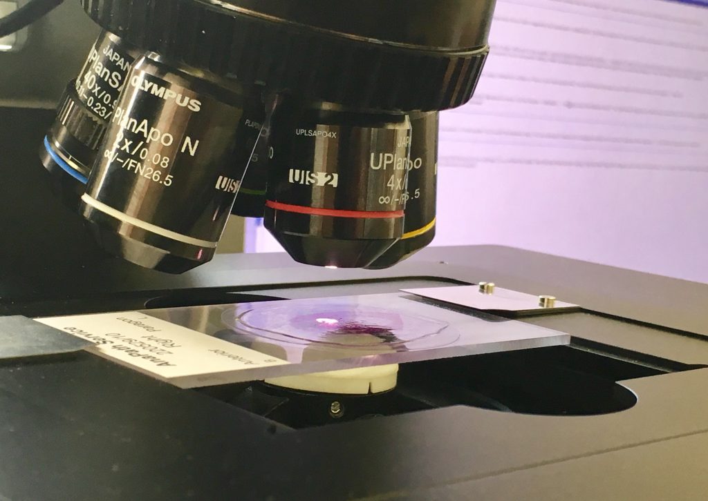 Histopathology services and toxicologic pathology | AnaPath