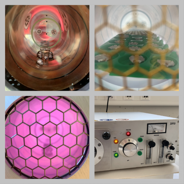 Plasma Ashing - AnaPath